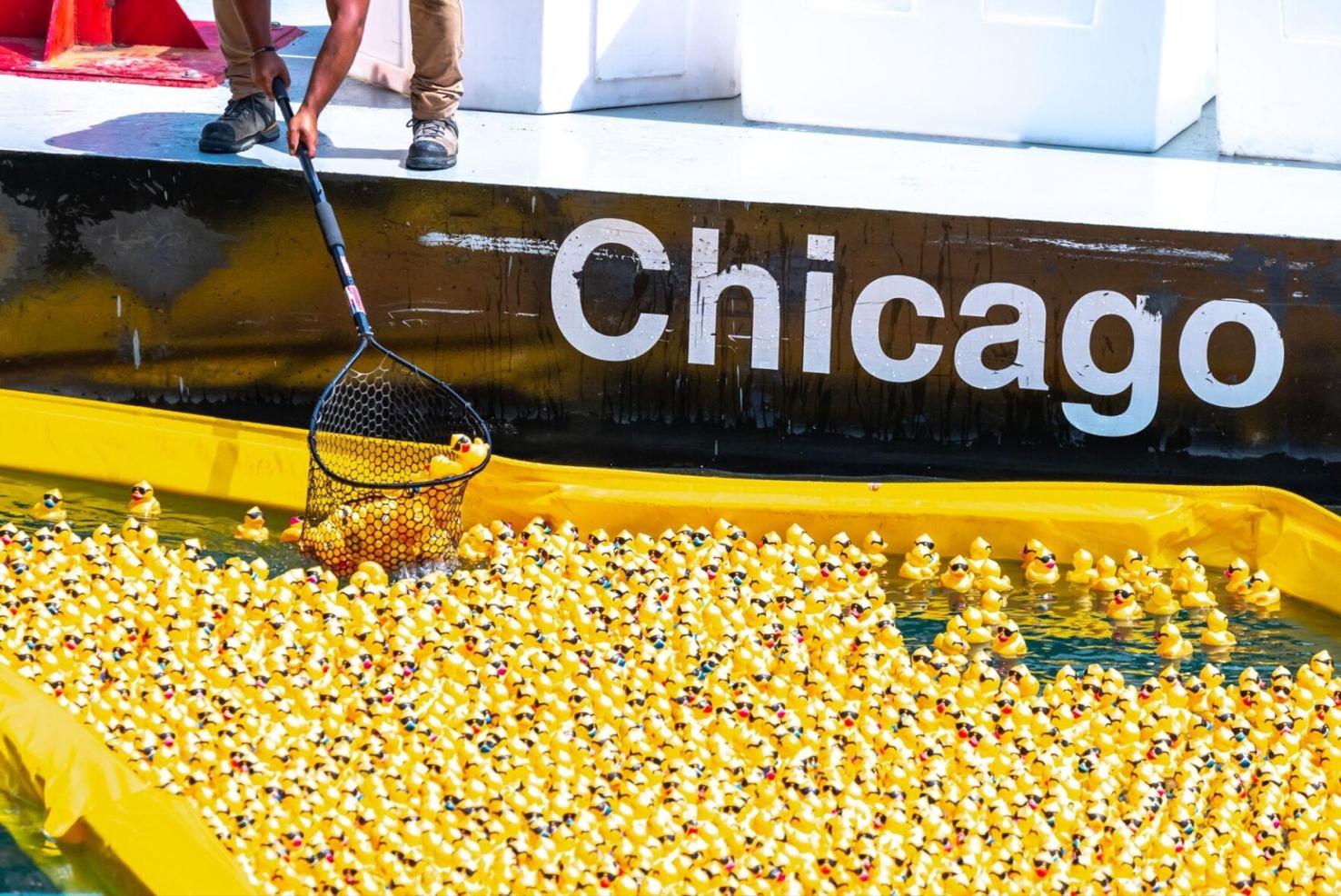 كل ما تحتاج معرفته عن سباق البط المطاطي لعام 2023 - Chicago In Arabic ...